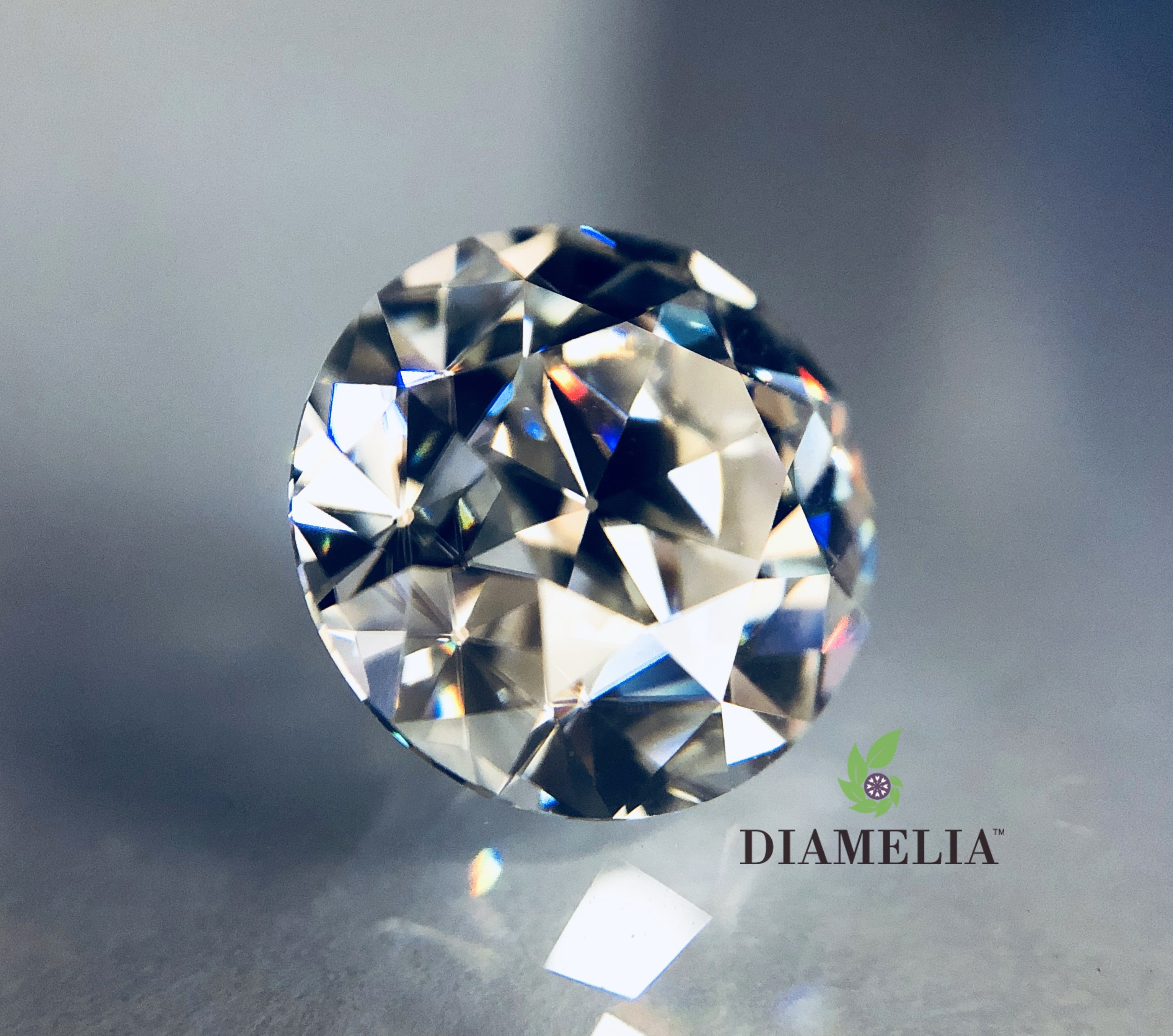 DIAMELIA® The Crown Nouveau™ Vintage Cut - DIAMELIA® Gem - DIAMELIA® GEMS